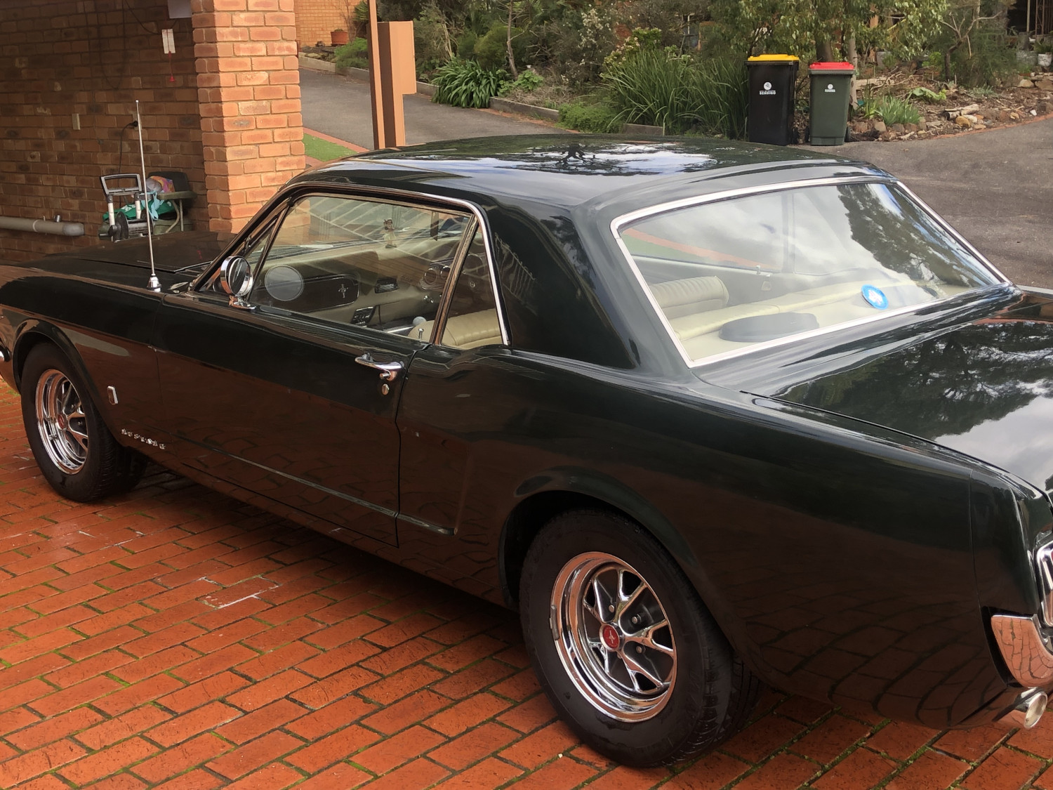 1966 Ford MUSTANG | 2023 Shannons Club Online Show & Shine