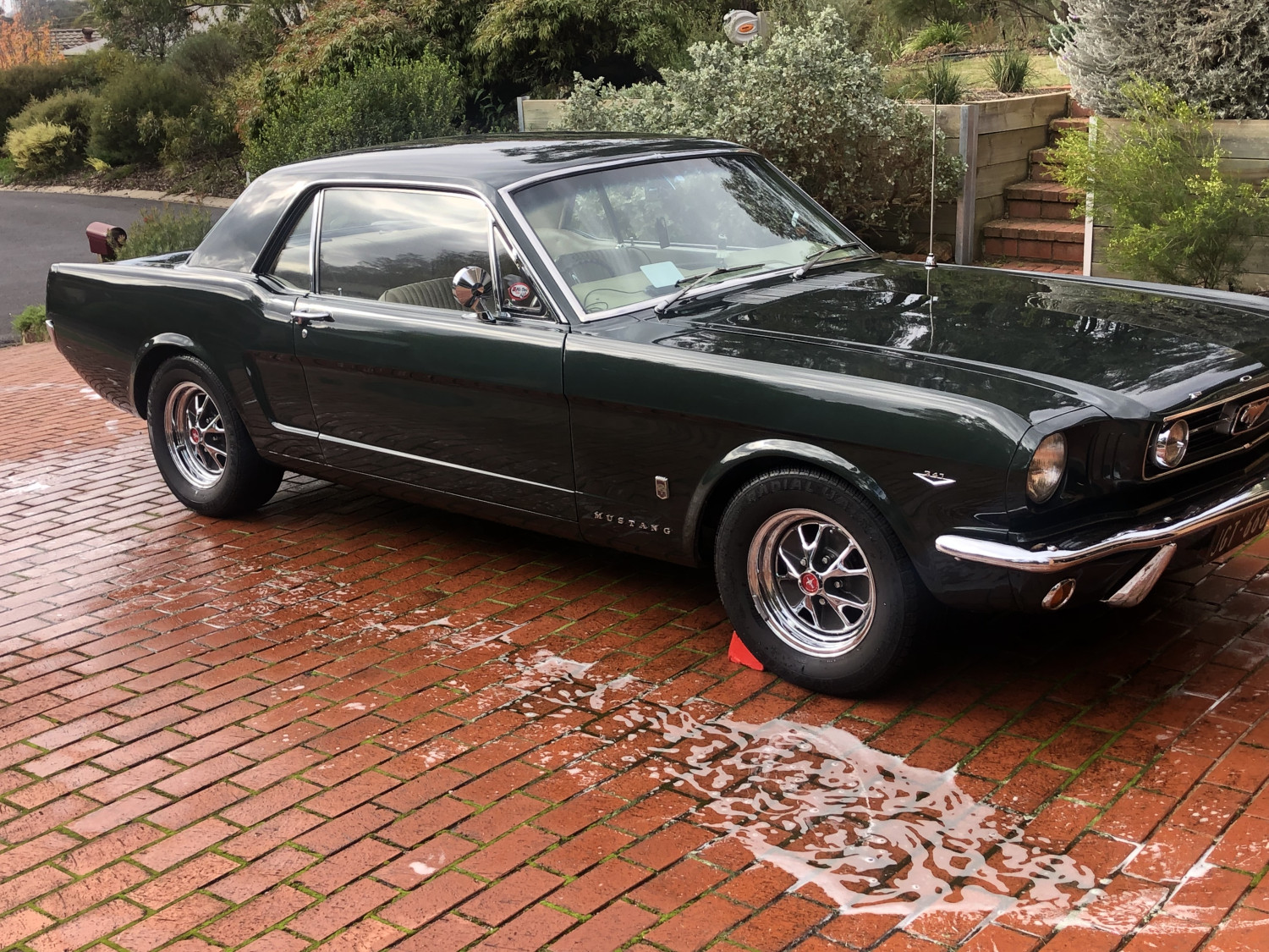 1966 Ford MUSTANG | 2023 Shannons Club Online Show & Shine