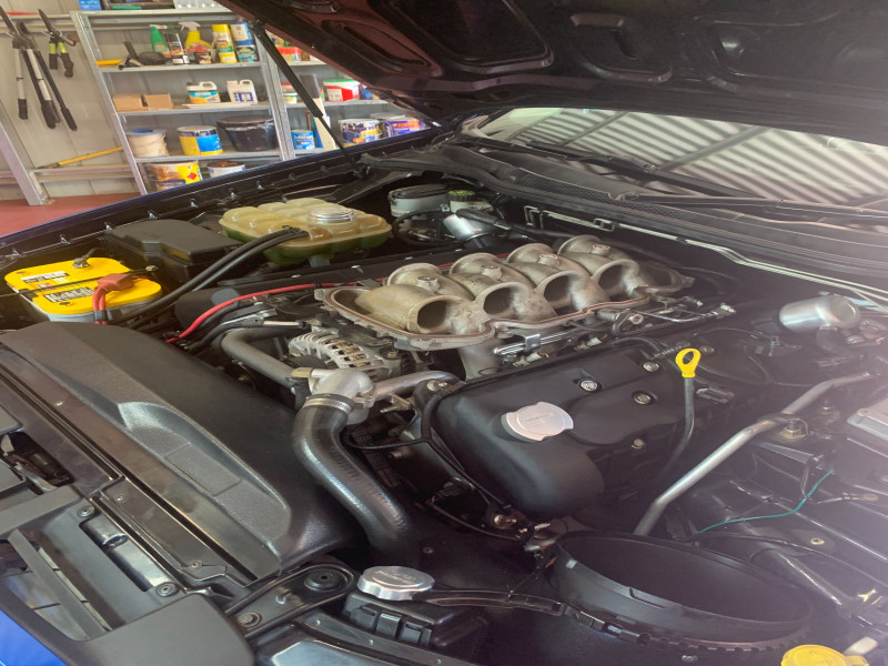 2004 Ford FALCON | 2020 Shannons Club Online Show & Shine