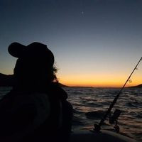 RobertAssan's Profile - Shannons Club