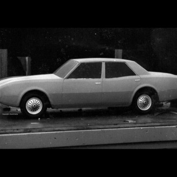 P76: 50th anniversary - Shannons Club