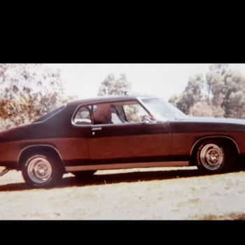 Photo by Birdman007 - Shannons Club