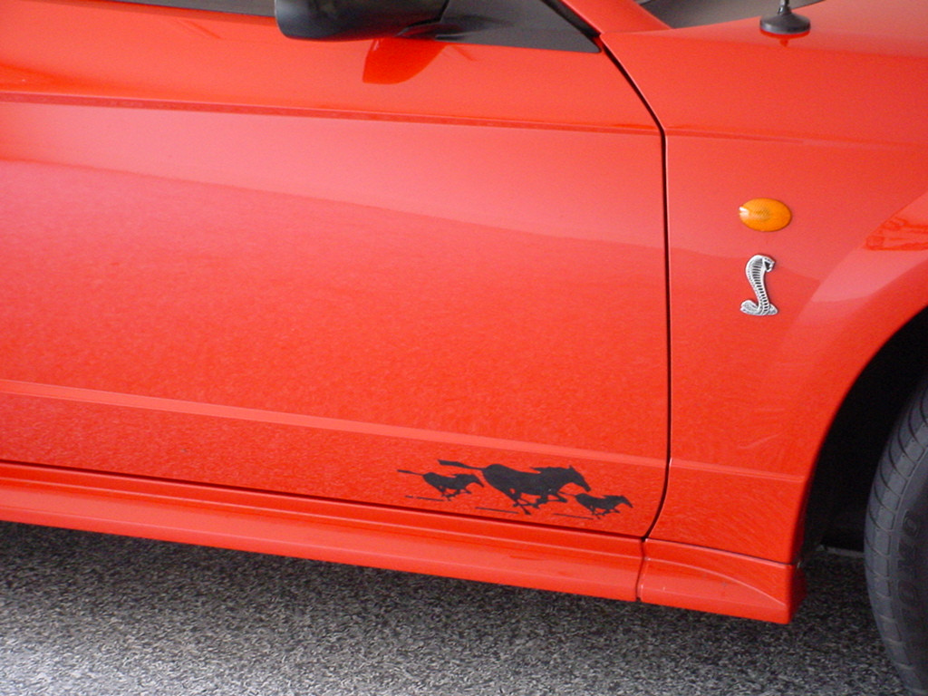 Photo by EddieL - Shannons Club