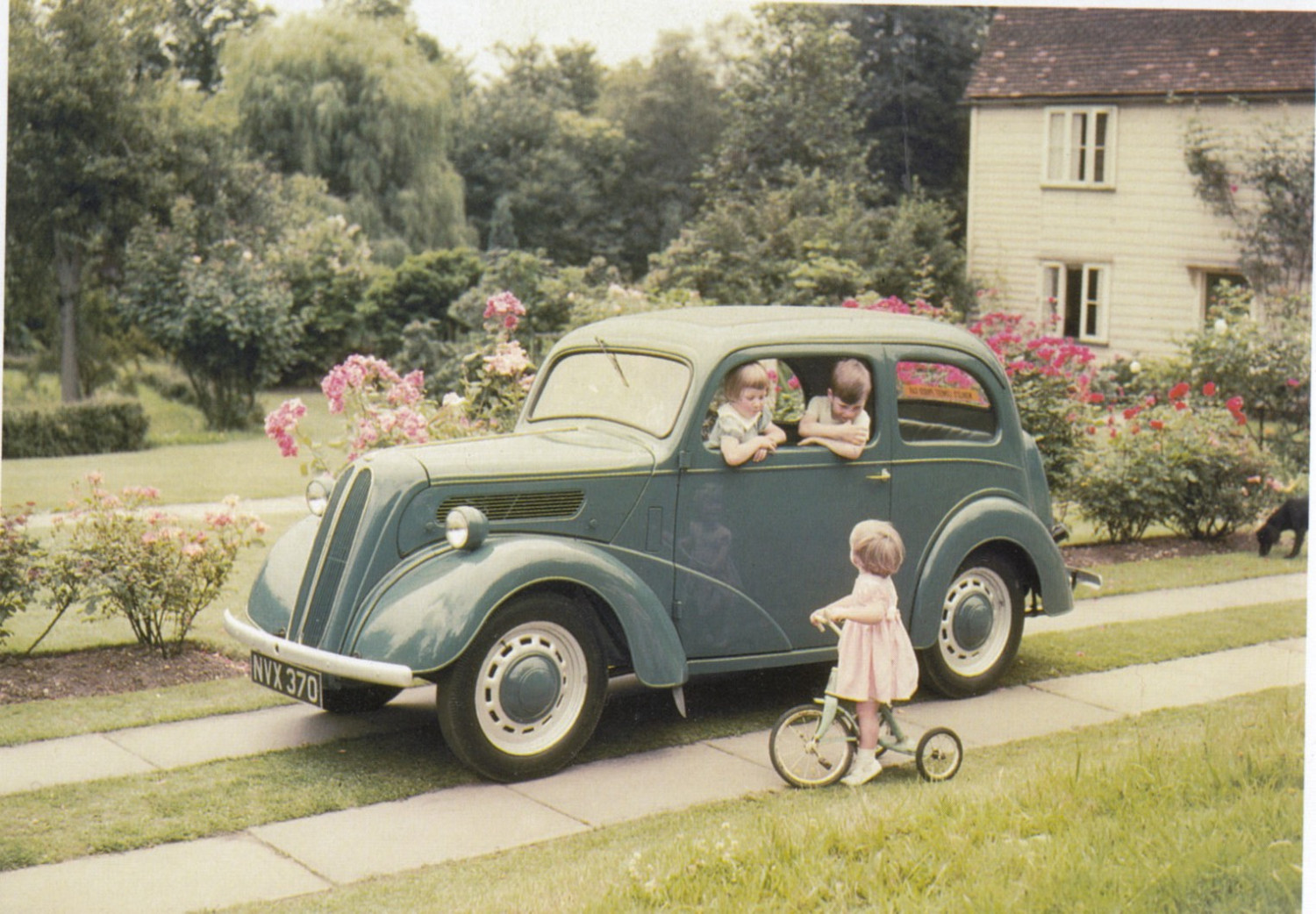 Photo by freeway64 - Shannons Club