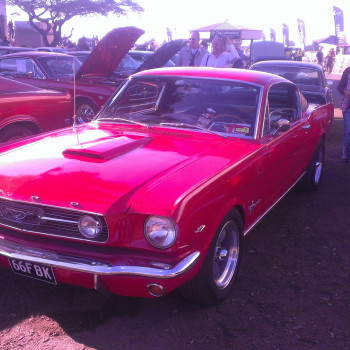 Photo by 66FBK - Shannons Club