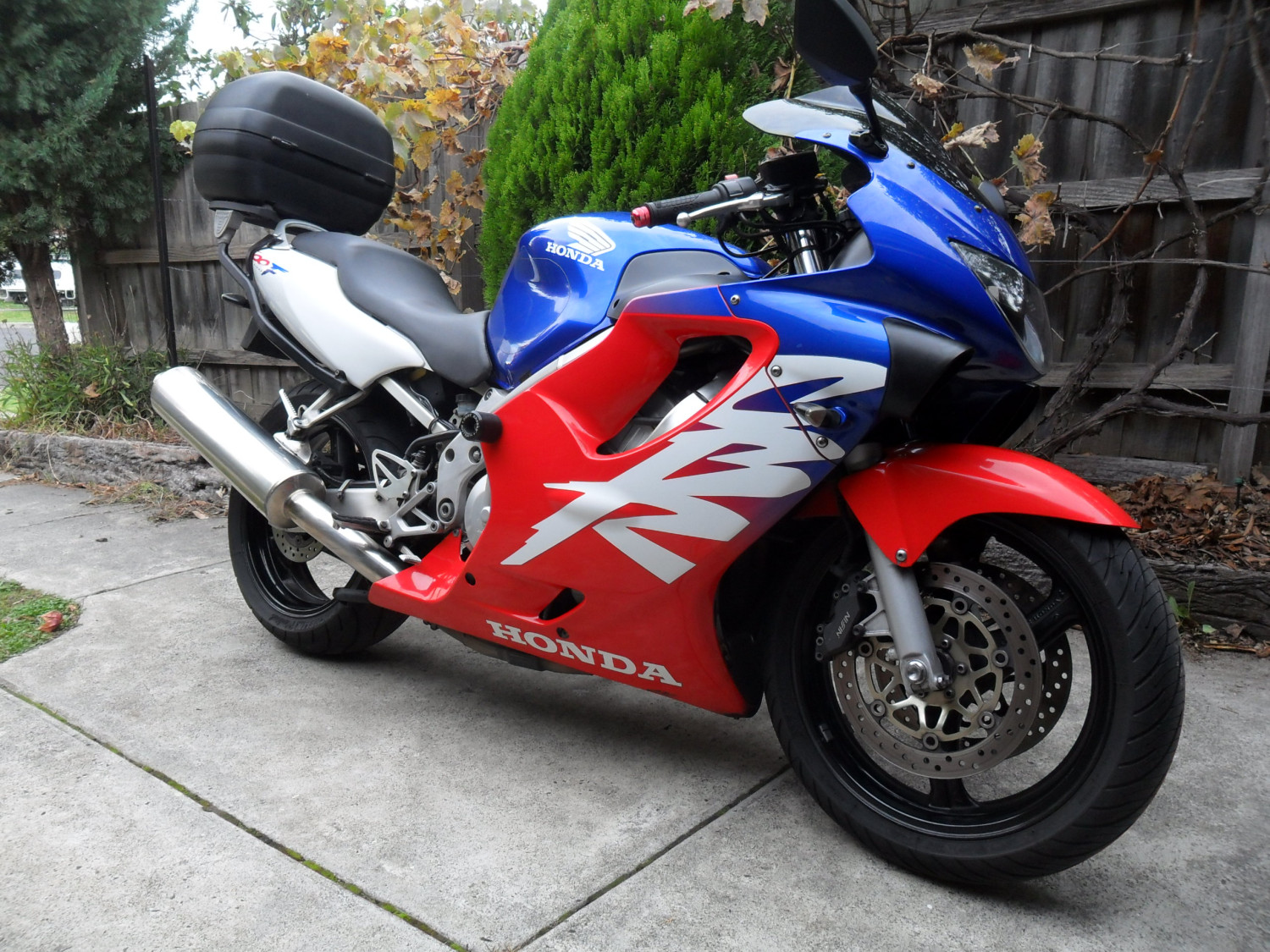 Photo by Peten - Shannons Club