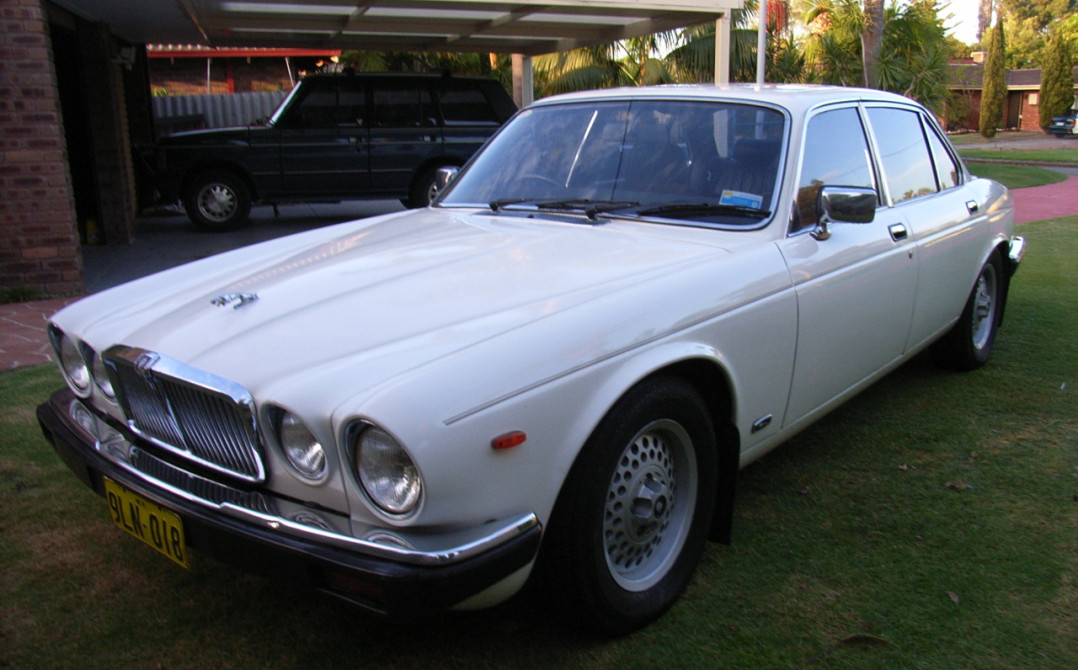 Panthera's Profile - Shannons Club