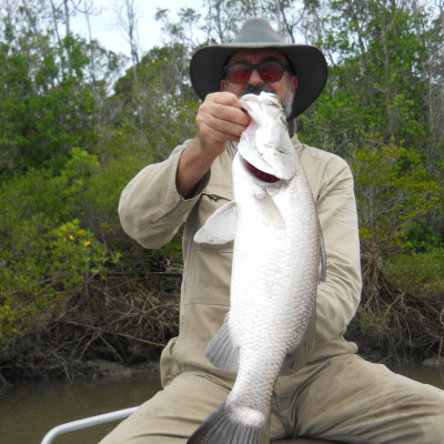 Jaffa's Garage & Car List - Shannons Club