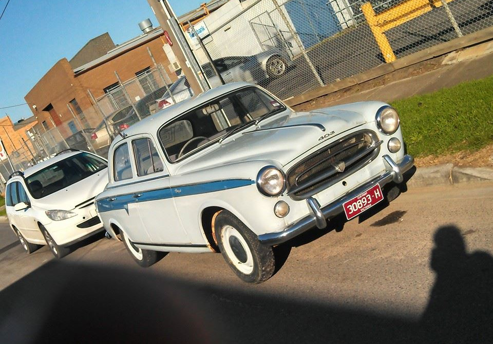 cav60's Profile - Shannons Club