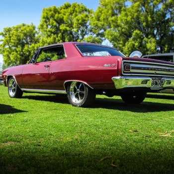 Photo by SS_65 - Shannons Club